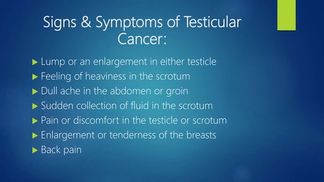 Testicular Self Exam Presentation | PPTX | Reproductive Health ...