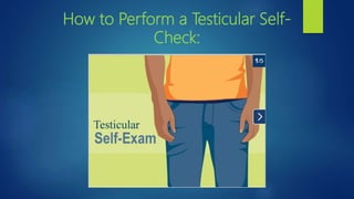 Testicular Self Exam Presentation | PPTX