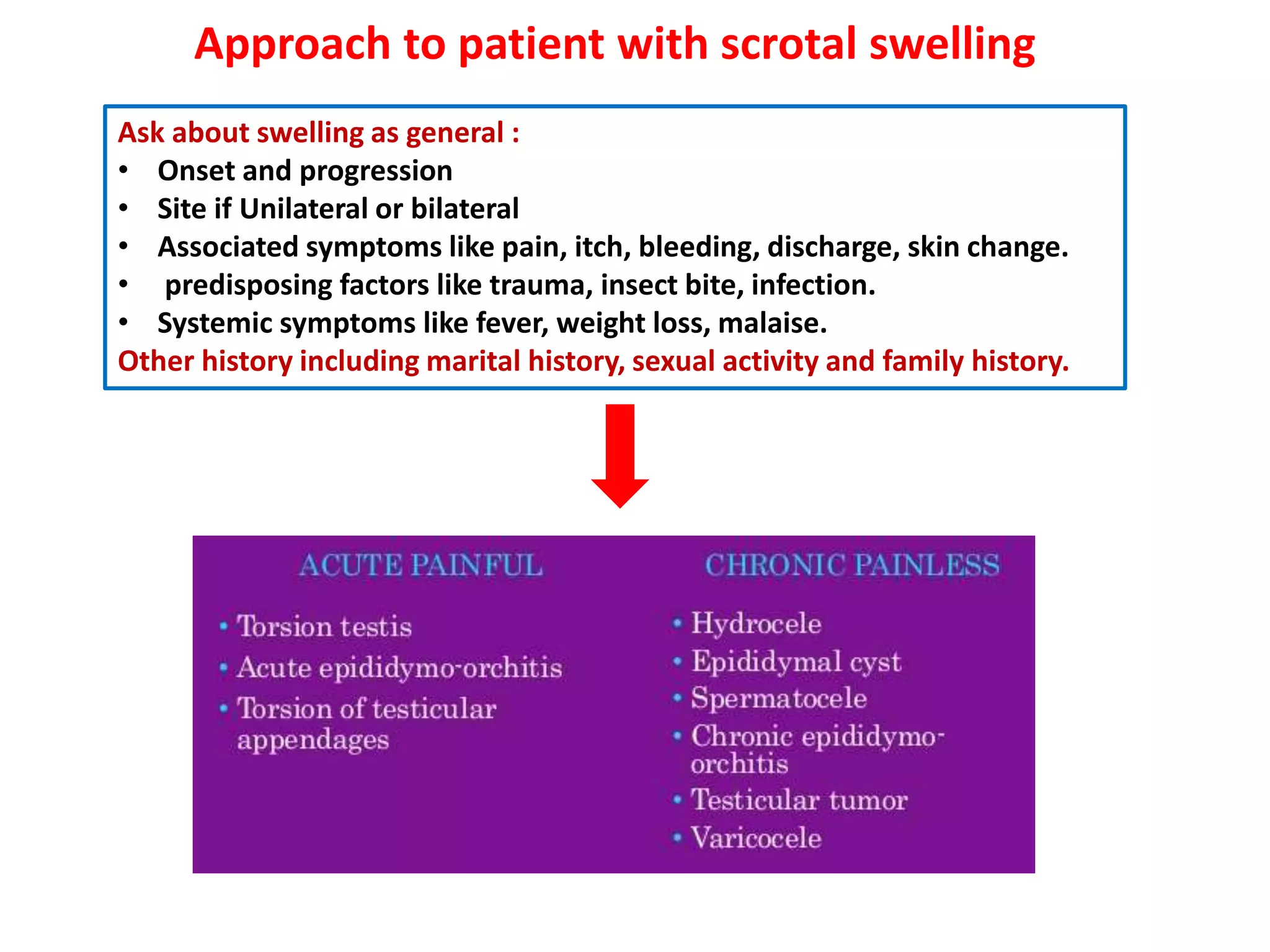 Testicular swelling | PPTX