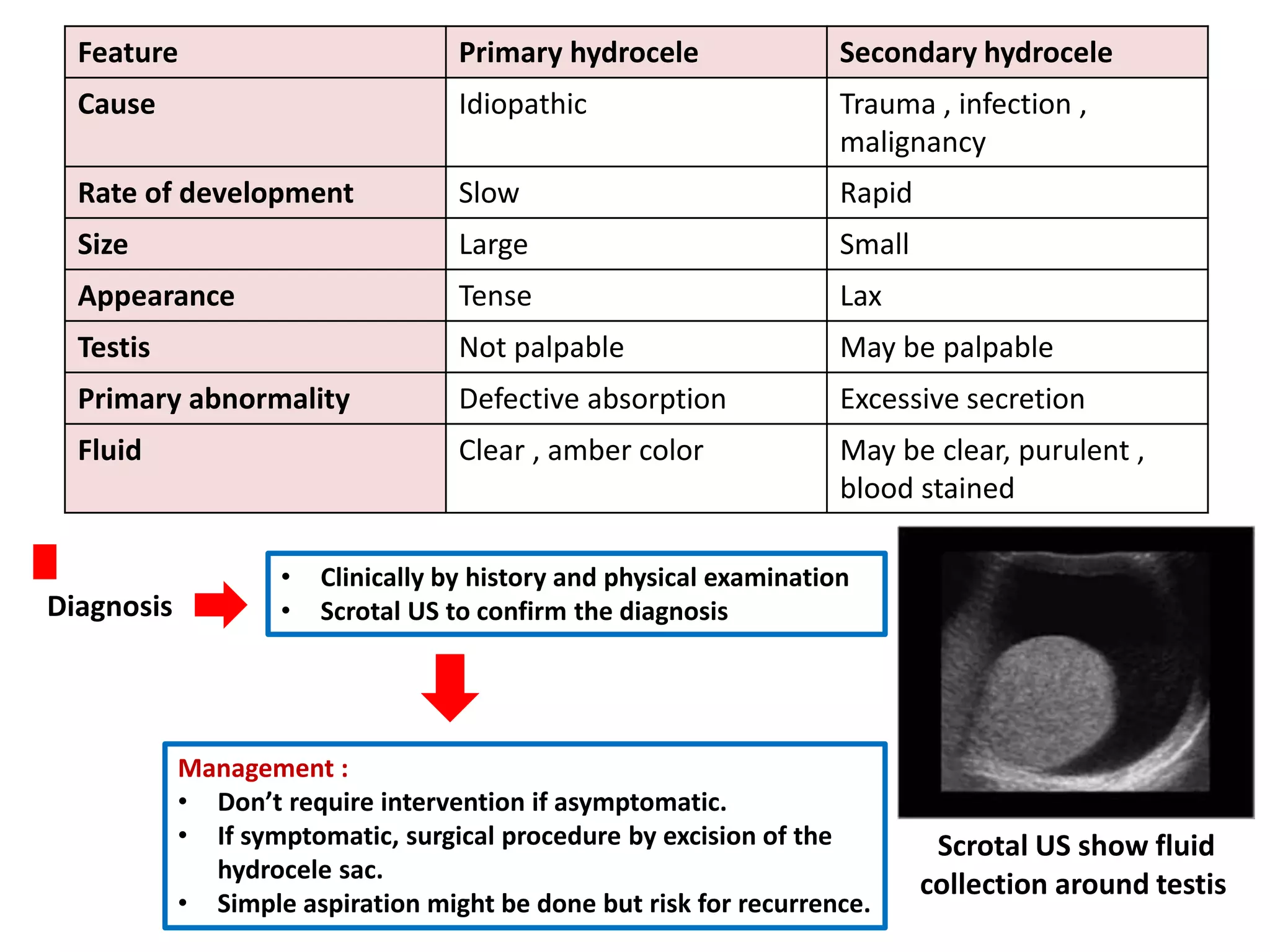 Testicular swelling | PPTX