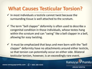 Testicular torsion | PPTX