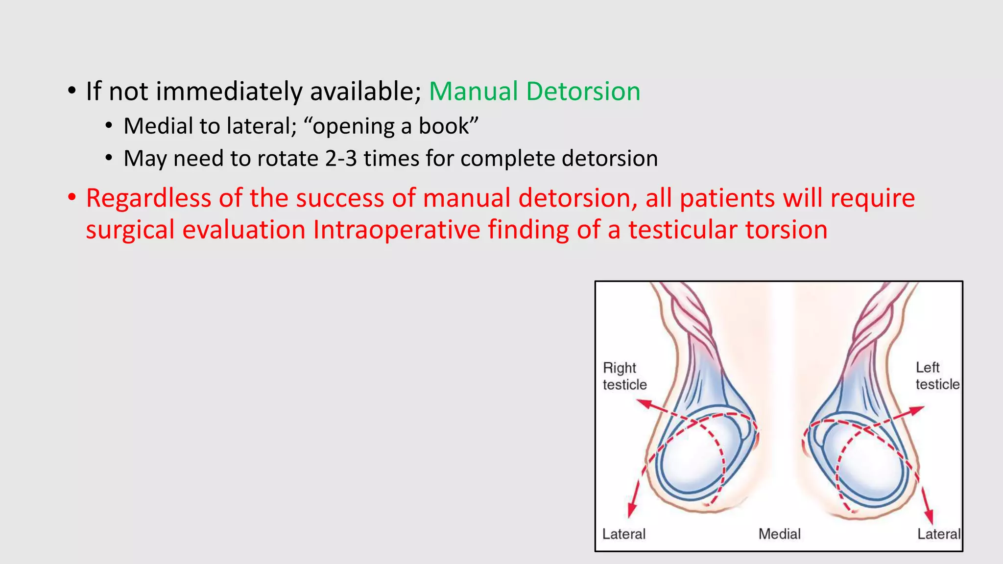testiculartorsion-190703195435.pdf