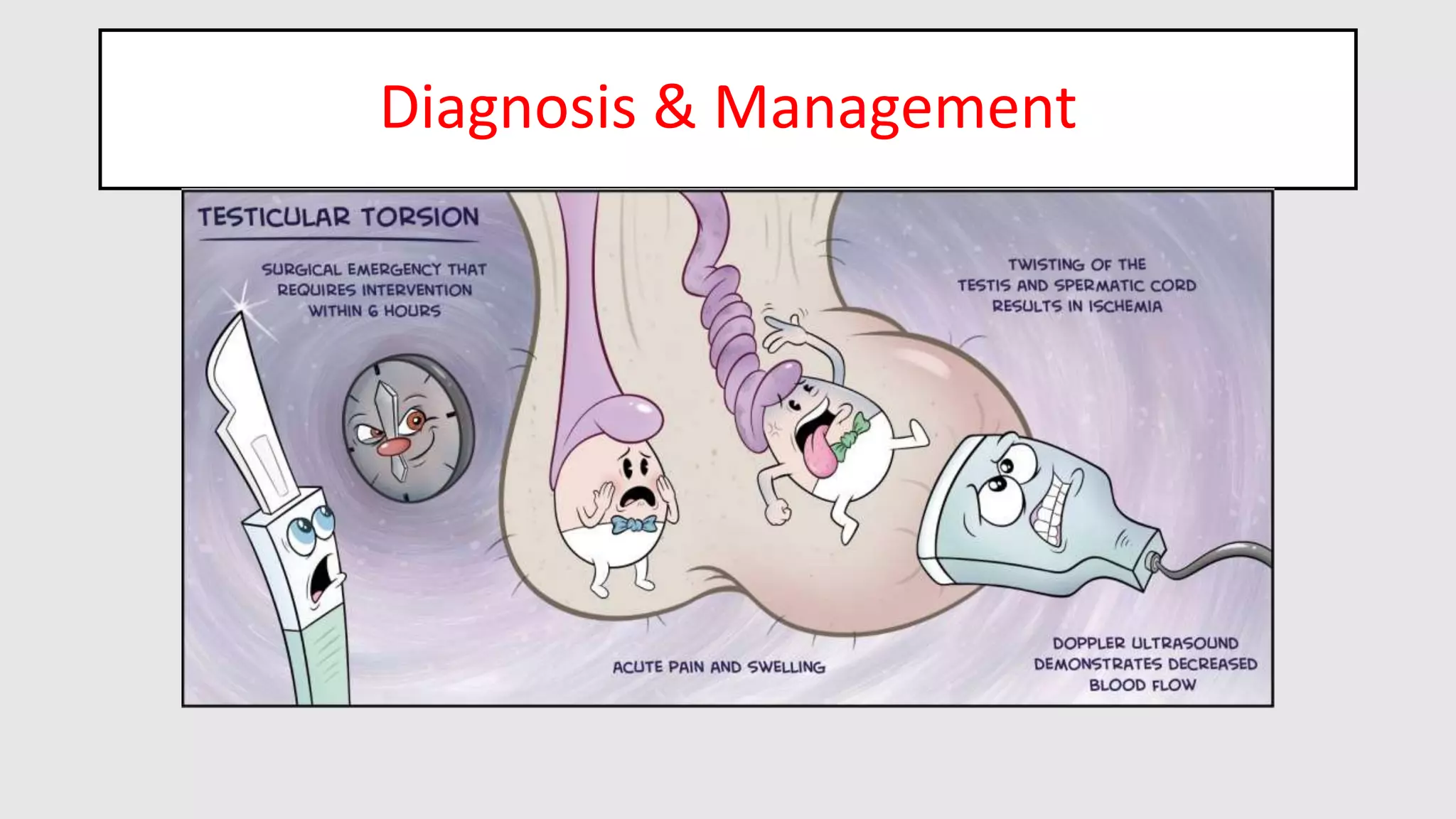 Testicular Torsion - Pediatrics Surgery | PPTX