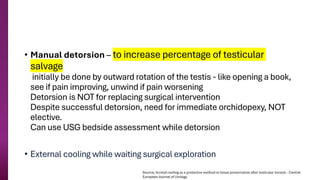 Testicular Torsion scrotal emergency.pdf