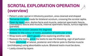 Testicular Torsion scrotal emergency.pdf