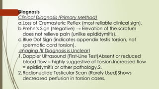 TESTICULAR TORSION as a medical surgical disease | PPTX