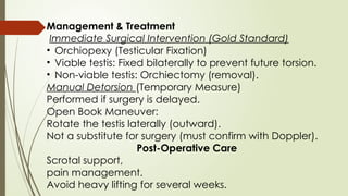 TESTICULAR TORSION as a medical surgical disease | PPTX