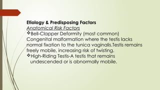 TESTICULAR TORSION as a medical surgical disease | PPTX