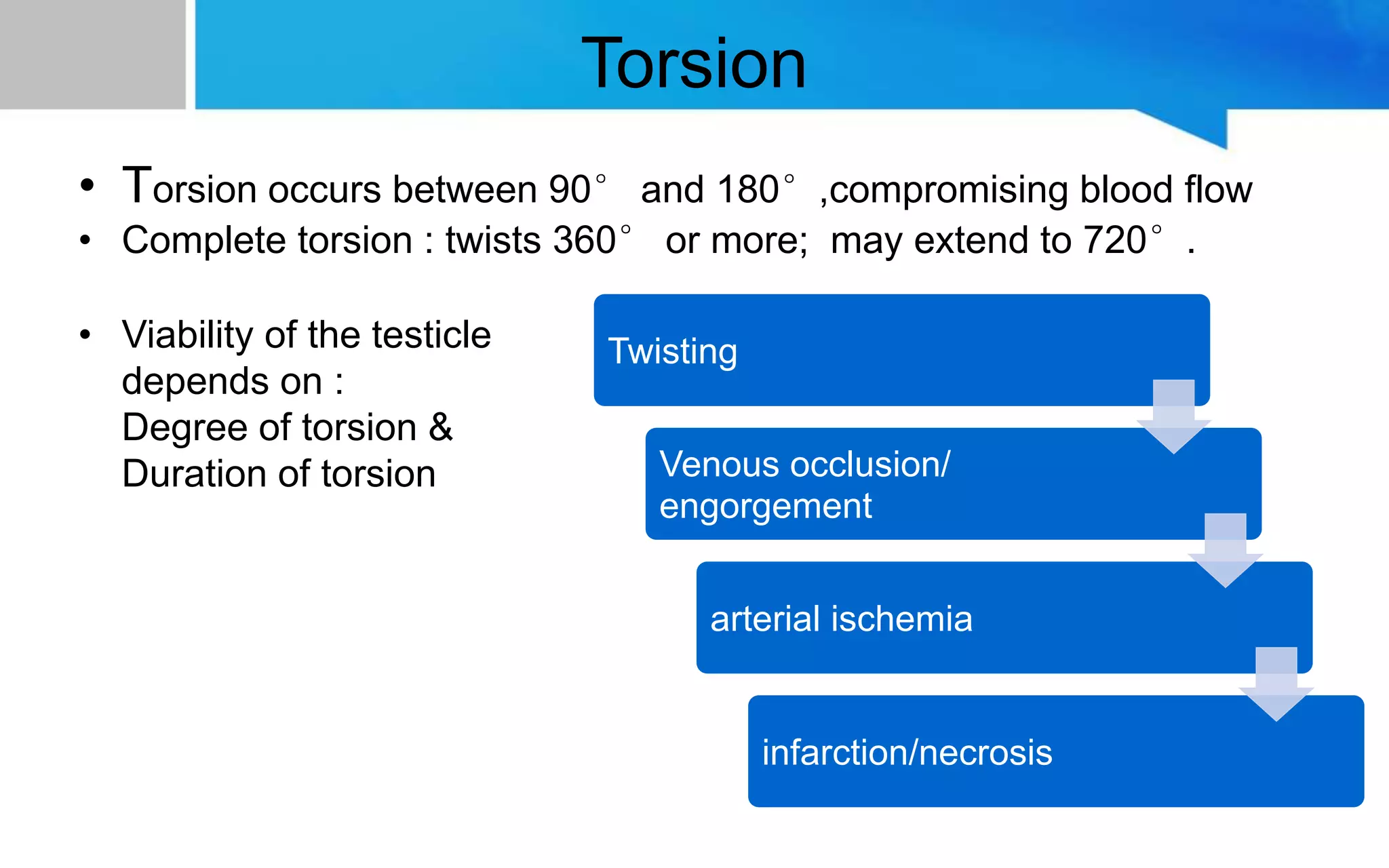 Testicular Torsion Torsion Of Testes Ppt