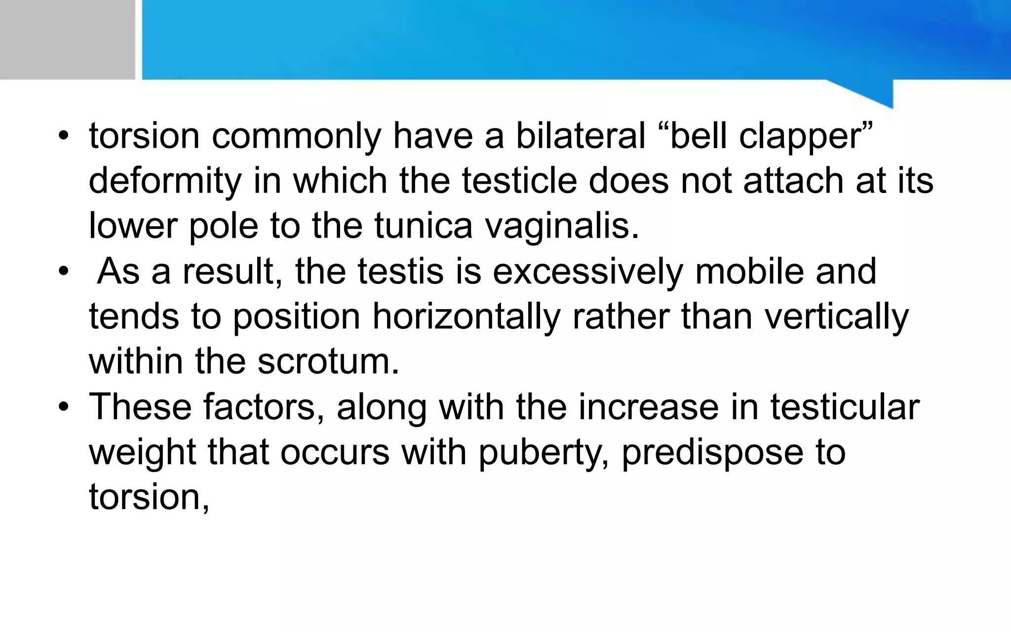 Testicular torsion/ Torsion of testes | PPT