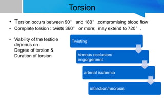 Testicular torsion/ Torsion of testes | PPT