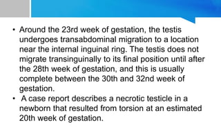 Testicular torsion/ Torsion of testes | PPT
