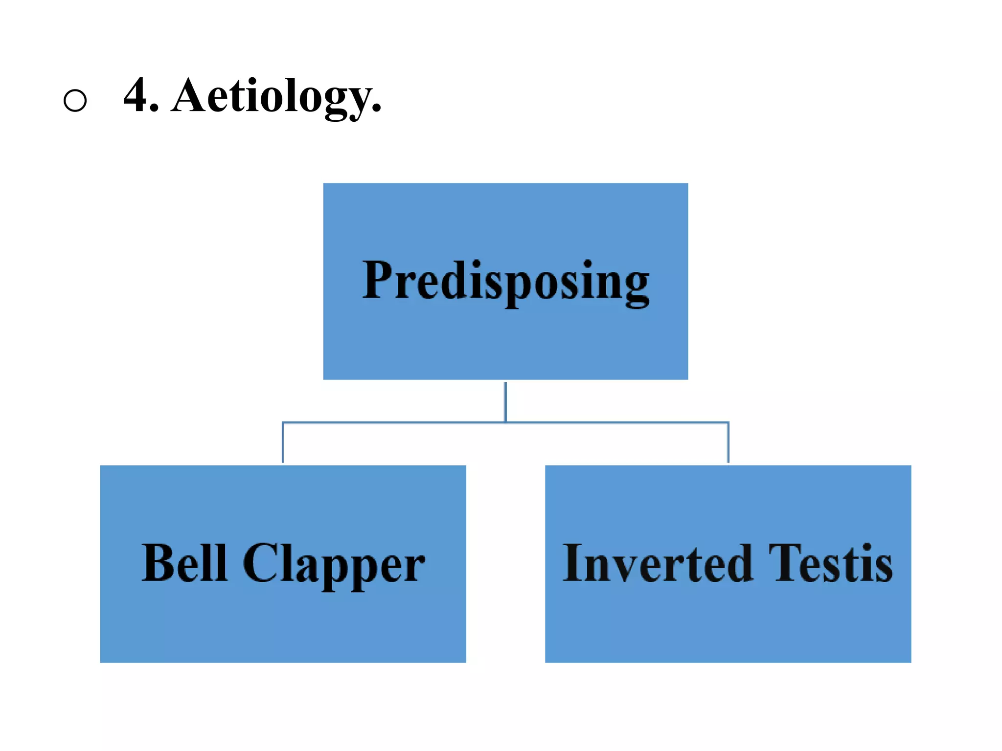 Testicular Torsion 1 Pdf