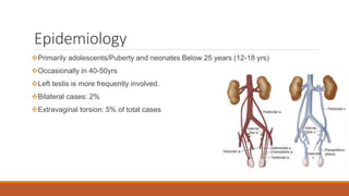 Testicular Torsion (Surgical emergency) .pptx