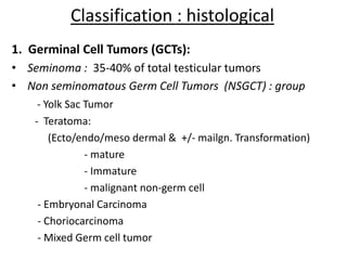 Testicular tumor.pptx