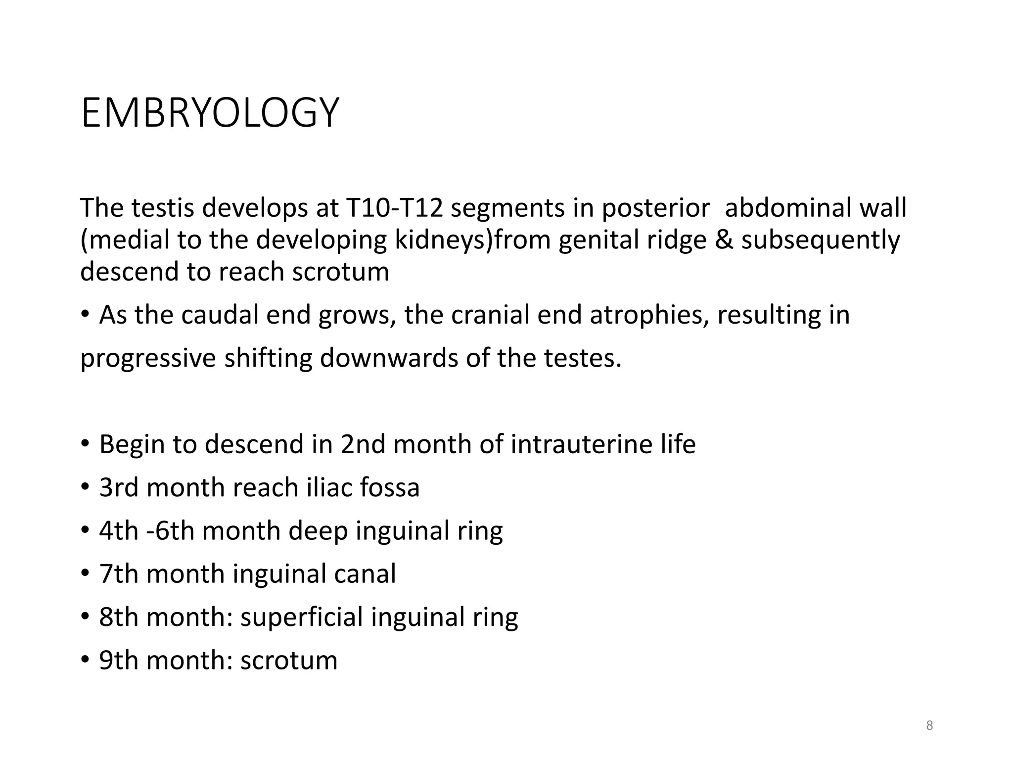 Management of Testicular Tumors | PPT