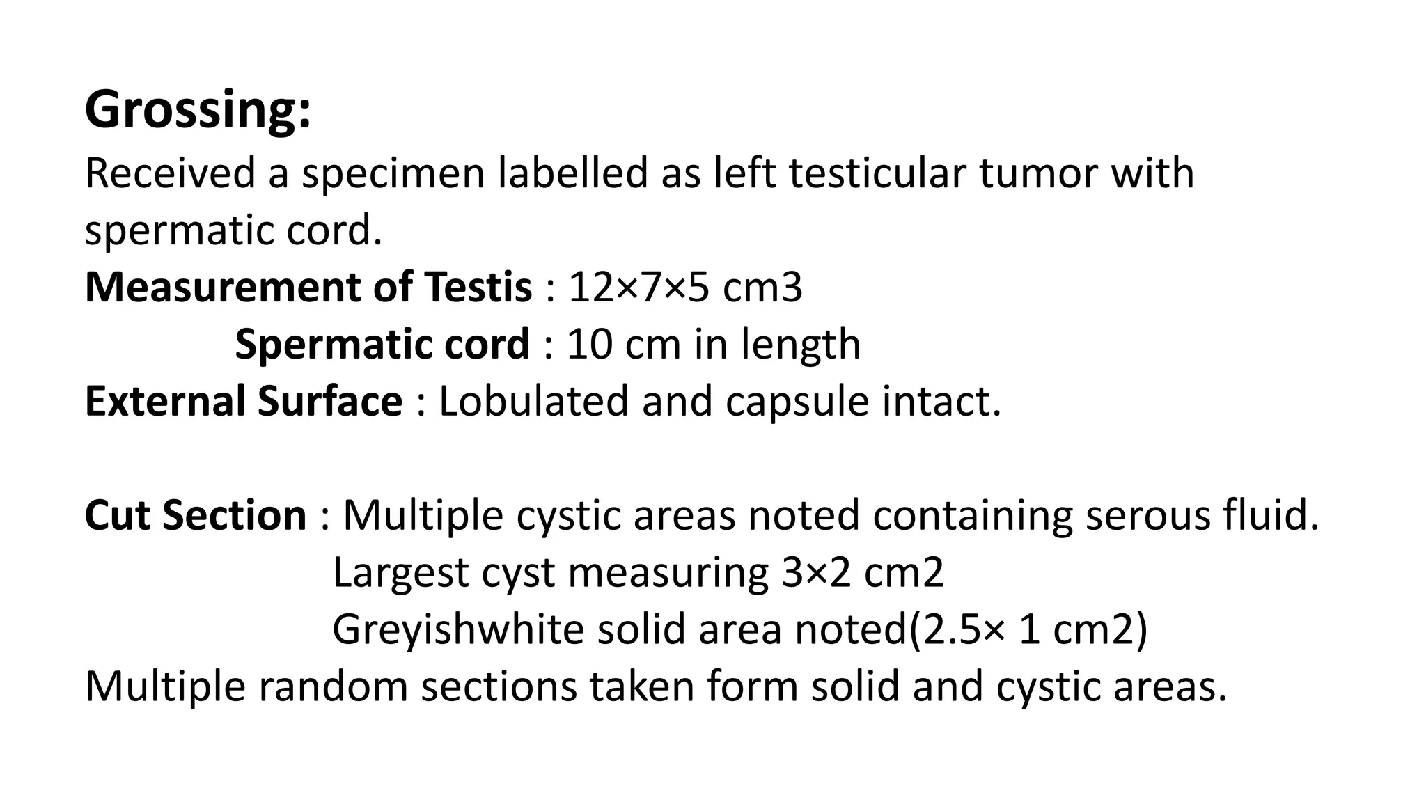 testicular tumor case presentation.pptx