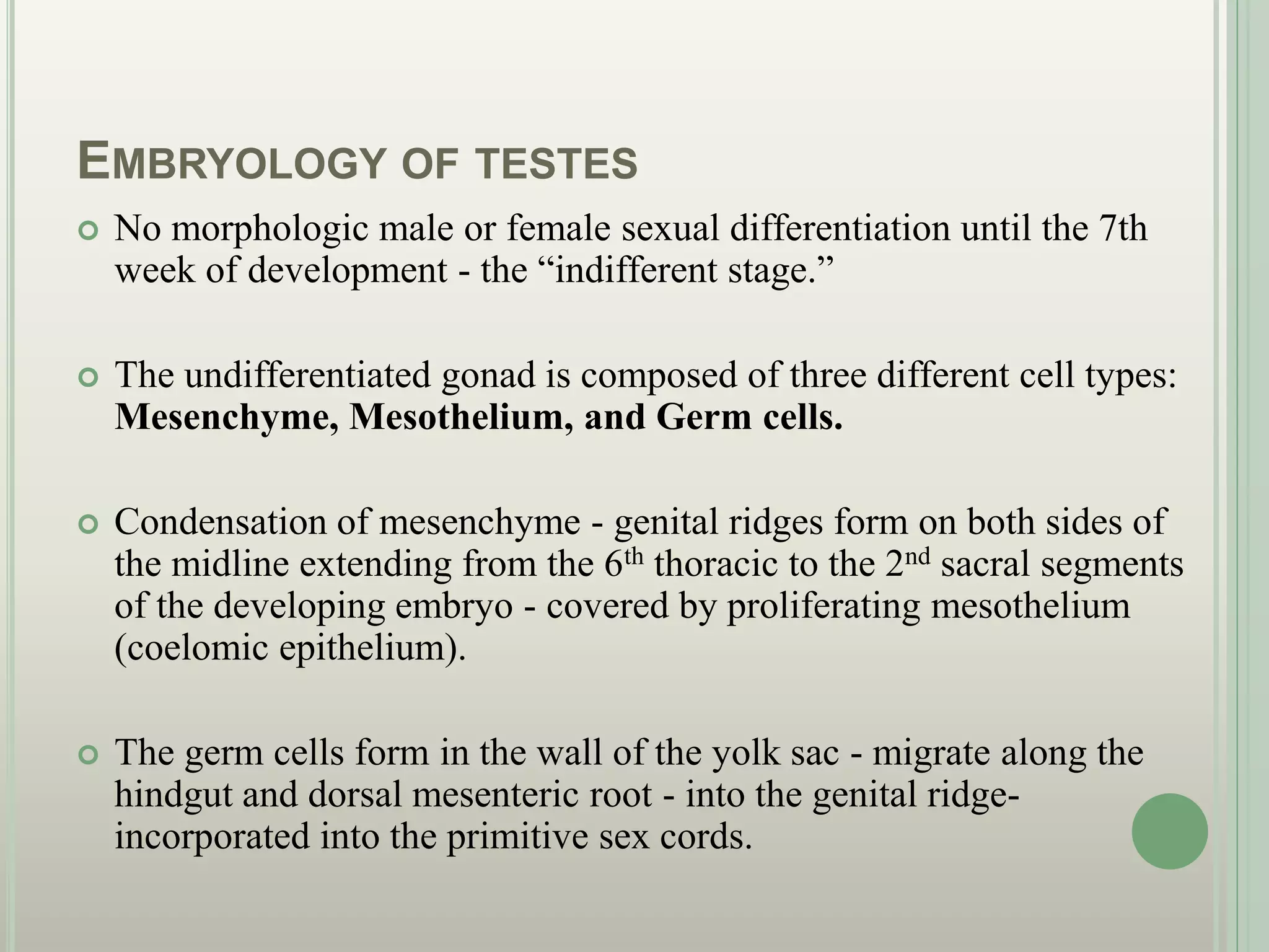 Testicular tumor imaging | PPTX