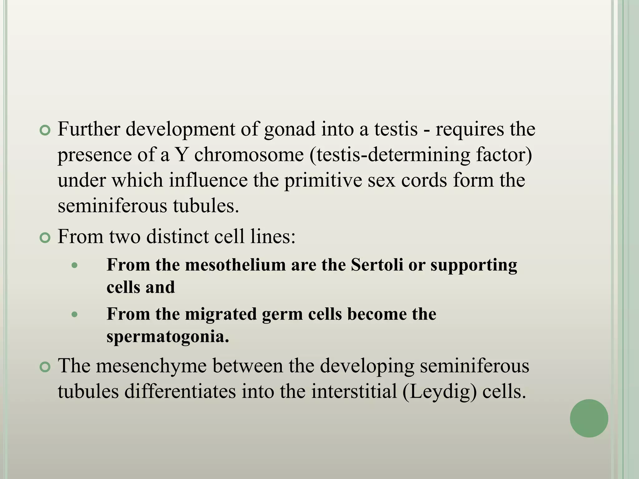 Testicular tumor imaging | PPTX