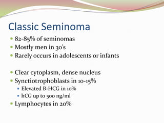 Testicular tumors | PPTX