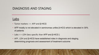 Testicular Tumors.pptx