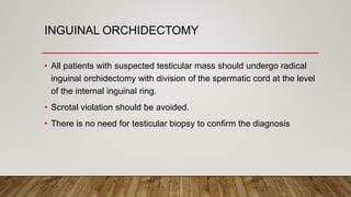 Testicular Tumors.pptx