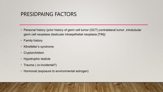 Testicular Tumors.pptx