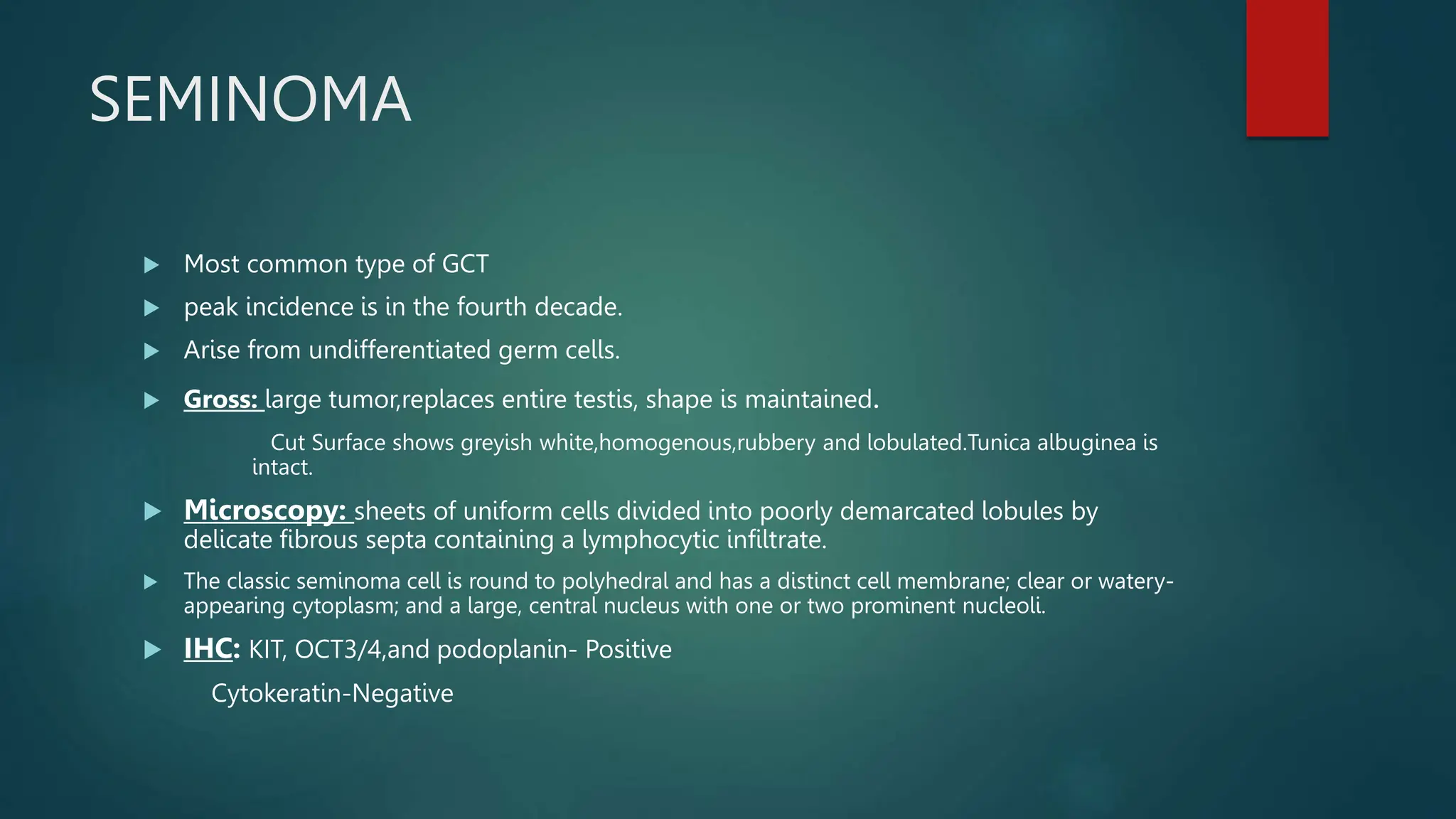 Testicular tumors.pptx