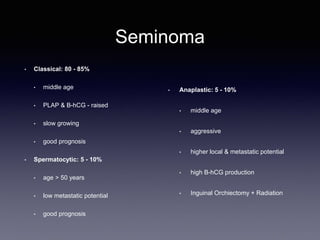 Testicular Tumors.pptx by Dr Dr Dr Dr Dr | PPTX