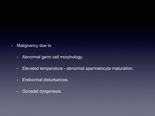 Testicular Tumors.pptx by Dr Dr Dr Dr Dr | PPTX
