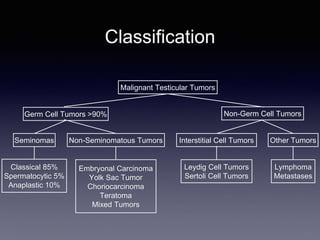 Testicular Tumors.pptx by Dr Dr Dr Dr Dr | PPTX