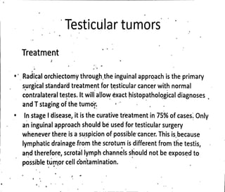 Benign Testicular Tumors - Surgical Aspect | PDF