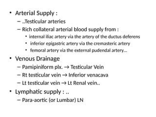 Uro-oncology TESTICULAR TUMORSSssss.pptx