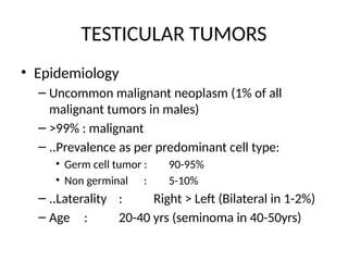 Uro-oncology TESTICULAR TUMORSSssss.pptx