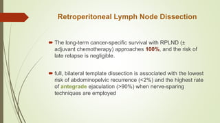 Testicular tumors nabbous | PPTX