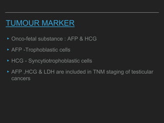Testicular tumors | PPTX