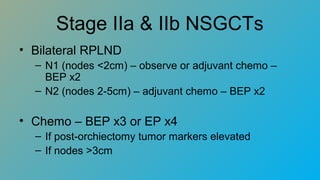 Testicular tumors | PPT