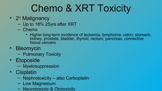 Testicular tumors | PPT