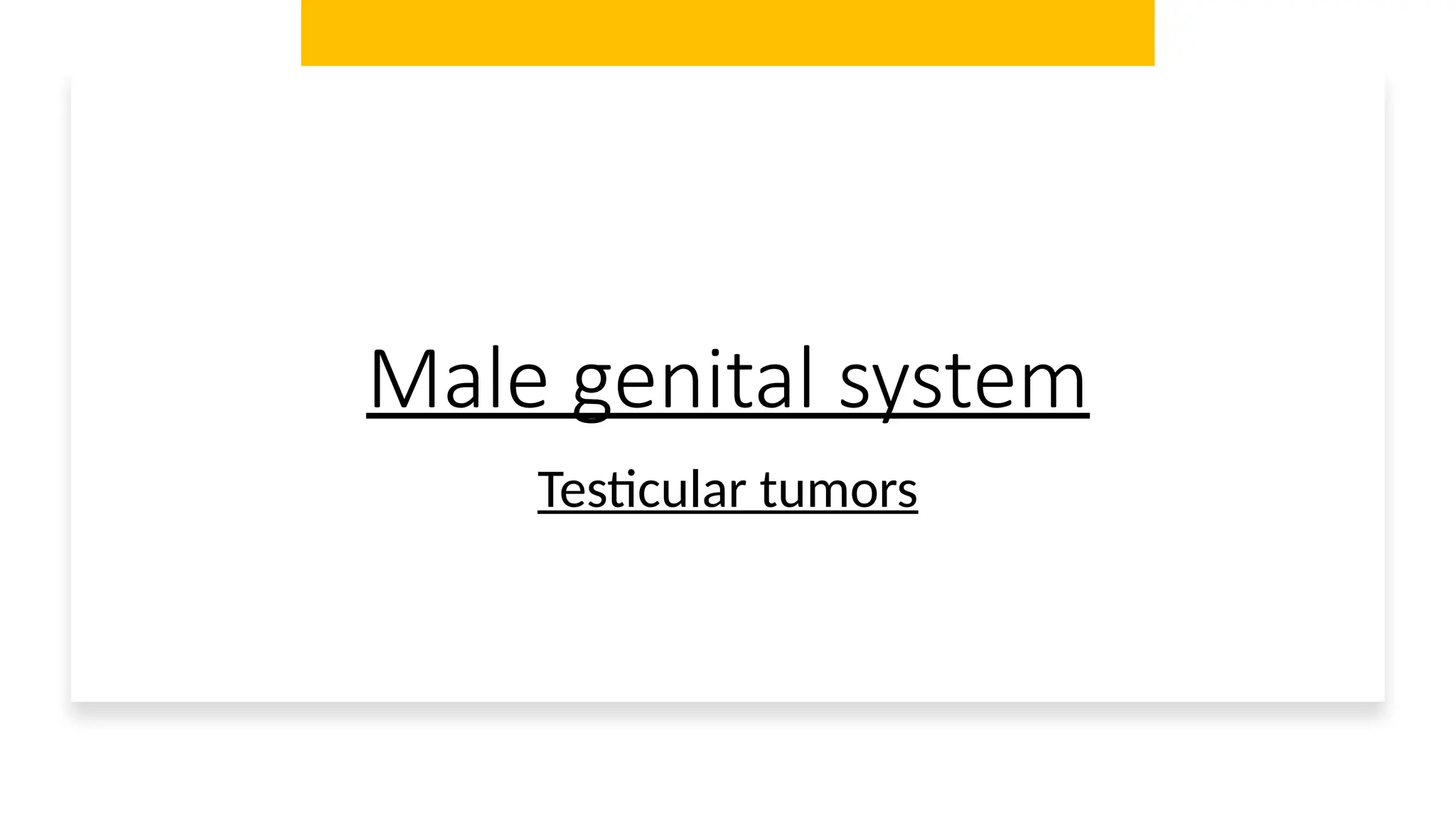 Testicular tumors pathology with histology | PPTX