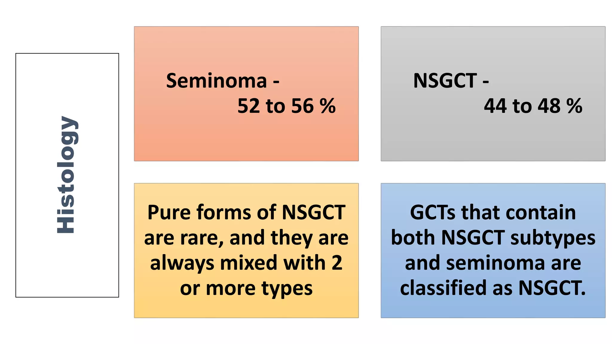 TESTICULAR TUMORS Etiopathogenesis, Features and Treatment | PPTX