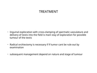 lecture on testicular tumour urology.ppt