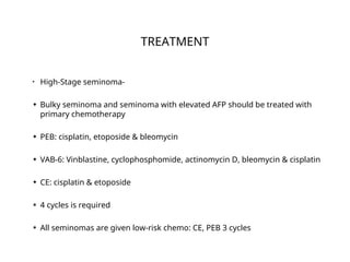 lecture on testicular tumour urology.ppt