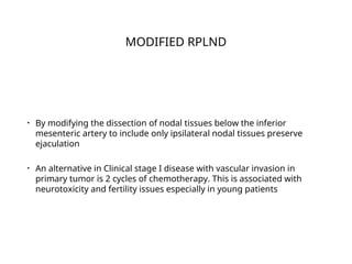 lecture on testicular tumour urology.ppt