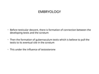 lecture on testicular tumour urology.ppt