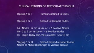 Testicular tumours causes risk factors and treatment | PPTX