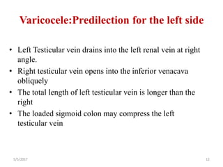Testicular varicocele and its effects on male infertility | PPTX