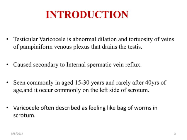 Testicular Varicocele And Its Effects On Male Infertility Ppt