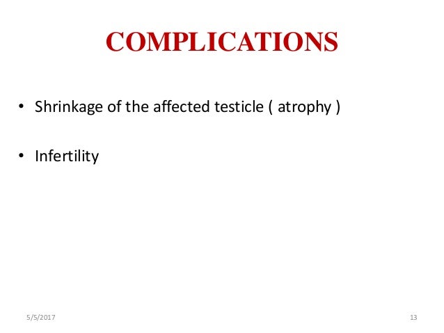 Testicular Varicocele And Its Effects On Male Infertility