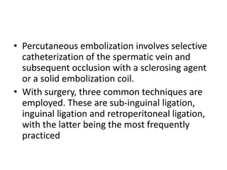 Testicular varicoceles | PPTX