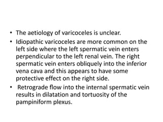 Testicular varicoceles | PPTX